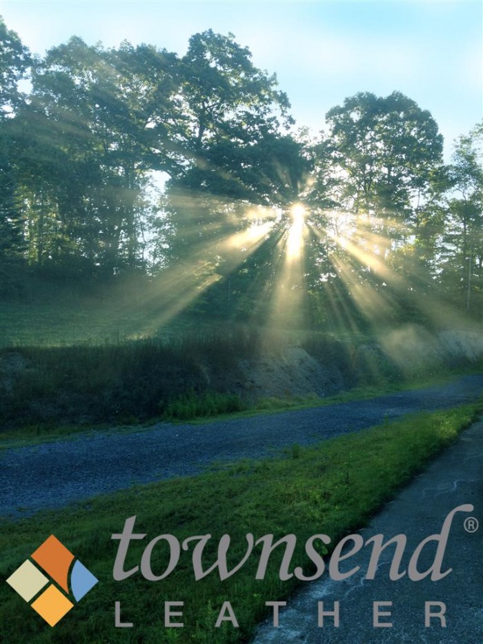 A Year in Review 2012 - Townsend Leather
