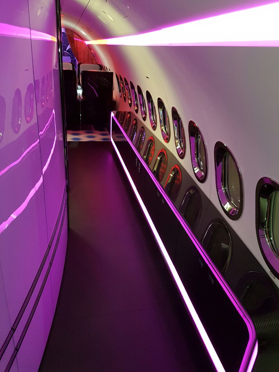 Aviation Interior Spotlight - Edese Doret Royal Jet - Townsend Leather